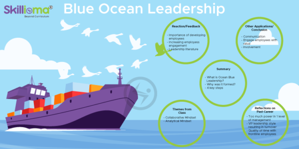 Blue Ocean leadership - Skillioma